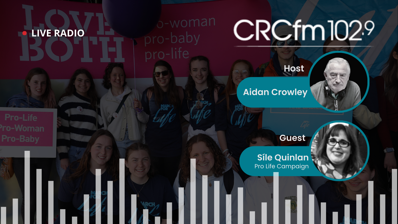 cover image - Pro Life Campaign